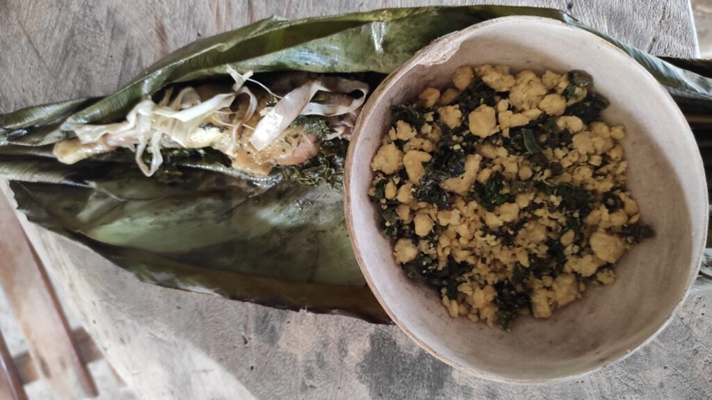 Salvaguarda del Patrimonio Agroalimentario de la Cultura Shuar ...